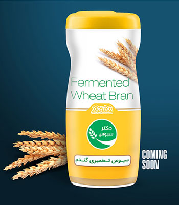 Fermented Wheat Bran - Iran2africa